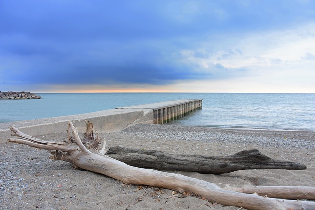 600+ Free Toronto & Canada Images - Pixabay