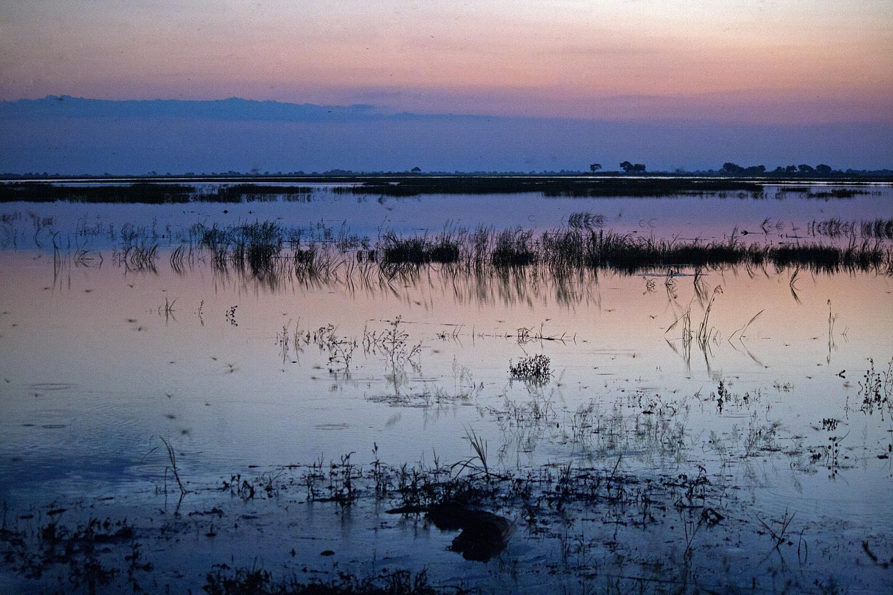 100,000+ Free Sunset Over The River & River Images - Pixabay