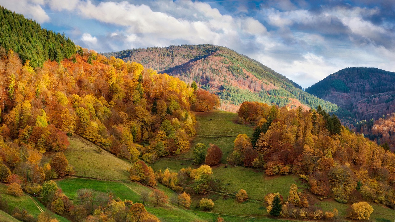 Paysage D'Automne Tombe La Nature - Photo gratuite sur Pixabay - Pixabay