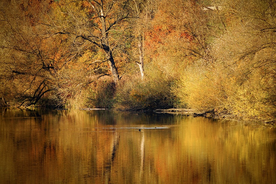 Landscape Flow Water - Free photo on Pixabay
