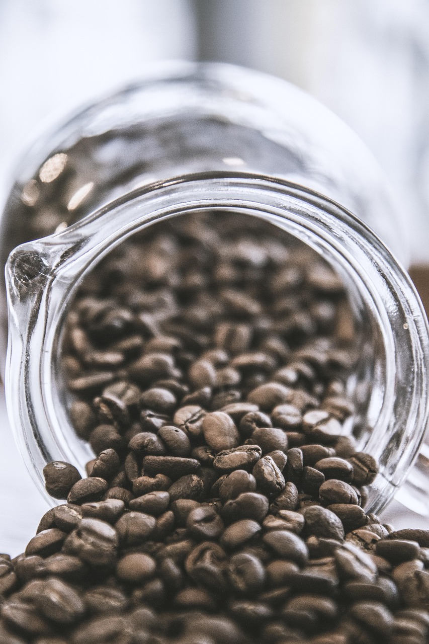 Coffee Seeds Seed - Free photo on Pixabay - Pixabay