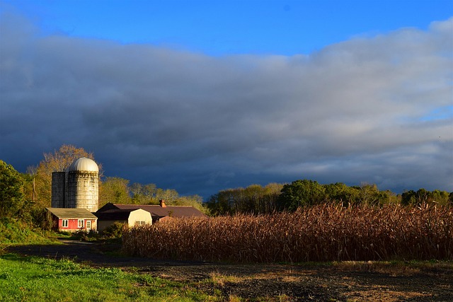 Silo Tanah Pertanian Lumbung Sinar - Foto gratis di Pixabay - Pixabay