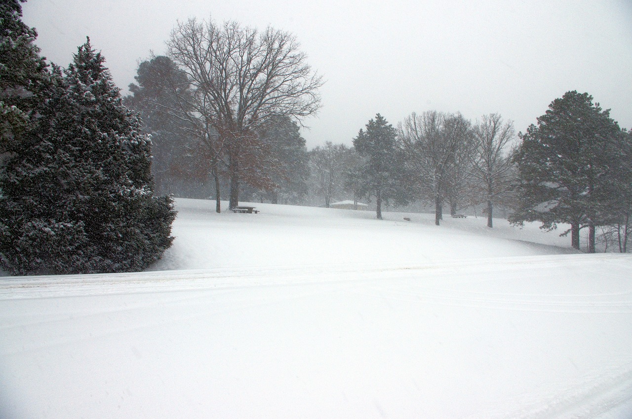 40,000+ Free Wintry Day & Winter Images - Pixabay