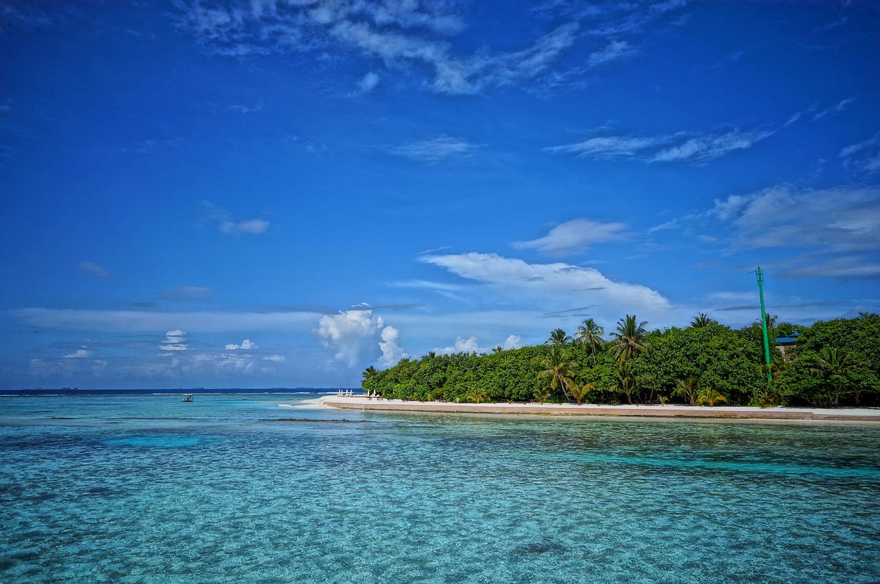 Maldive Islands Nature Beach - Free photo on Pixabay