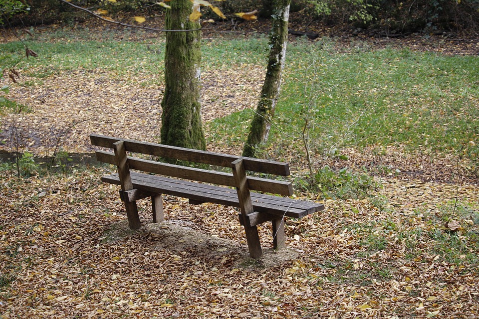 Nature Bench Forest - Free photo on Pixabay