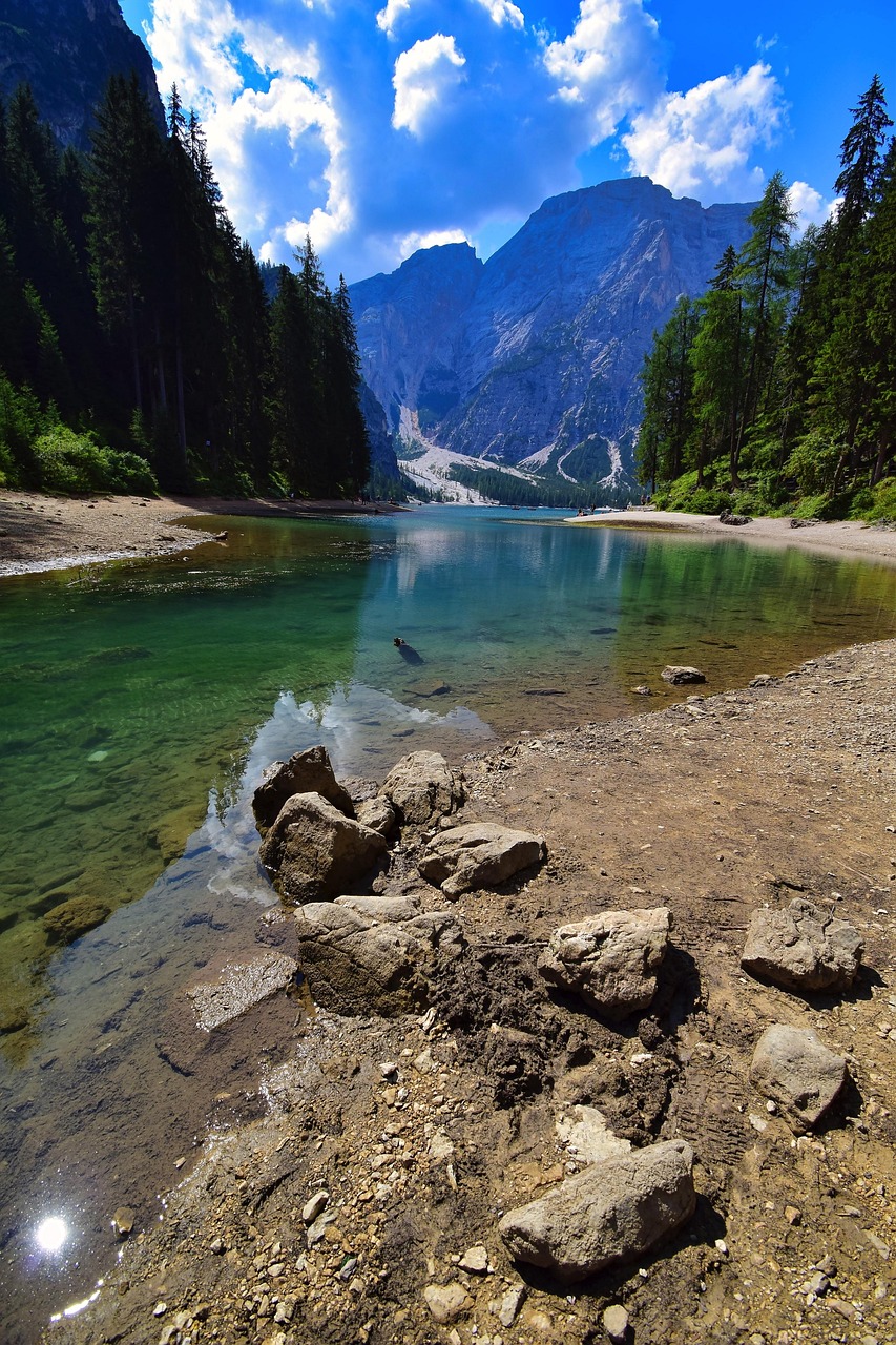 300+ Free Clarity & Nature Images - Pixabay