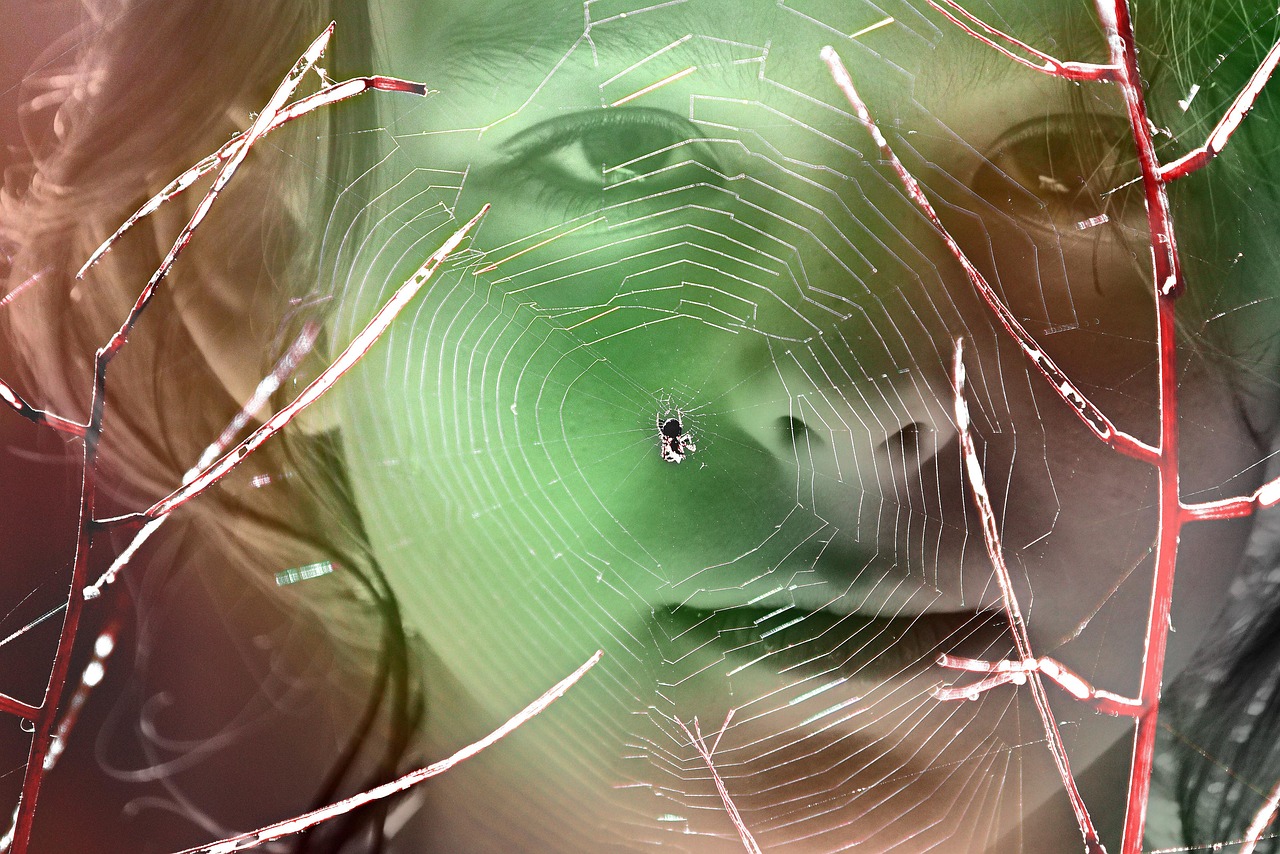 Girl Face Spider Web - Free photo on Pixabay - Pixabay