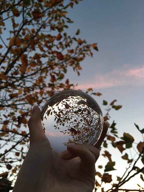 Lensa Bola Daun-Daun Langit Musim - Foto gratis di Pixabay - Pixabay