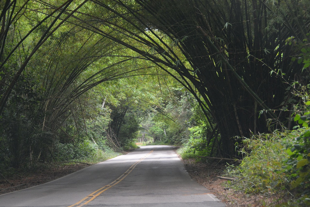 Road Nature Transport - Free photo on Pixabay