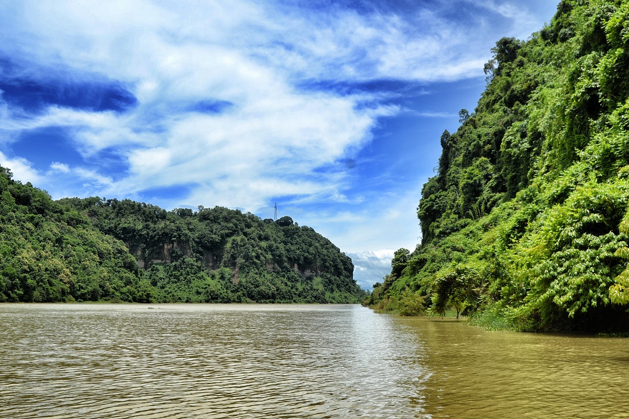Bangladesh Natural Dealuri - Fotografie gratuită pe Pixabay - Pixabay
