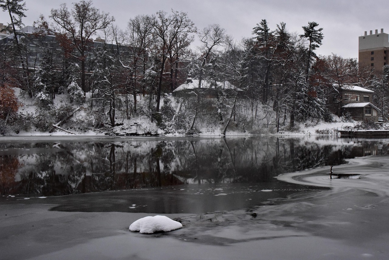 超过 60 张关于“Aspea Winter”和“Winter”的免费图片 - Pixabay
