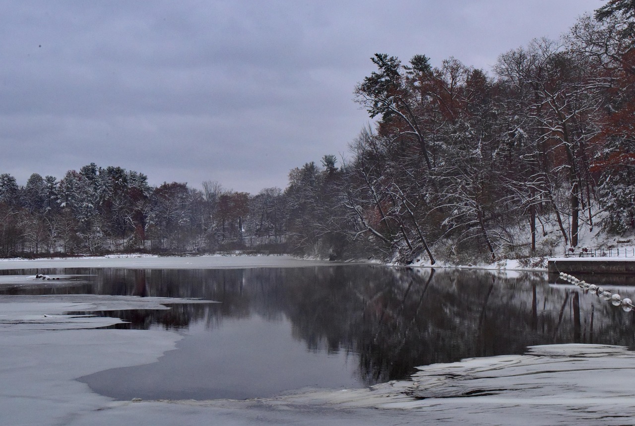 Winter Landscape Lake Snow - Pixabay上的免费照片