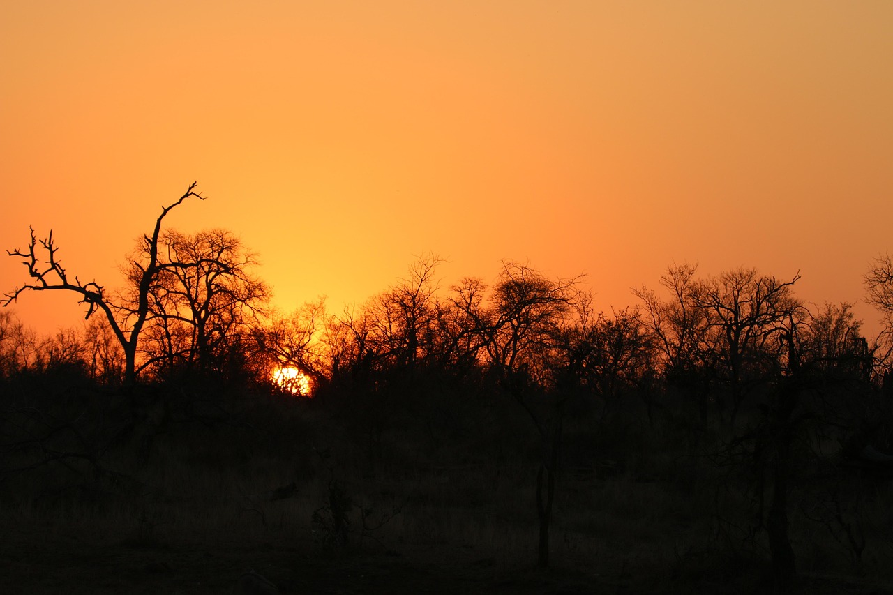Africa Sunset Safari - Free photo on Pixabay - Pixabay