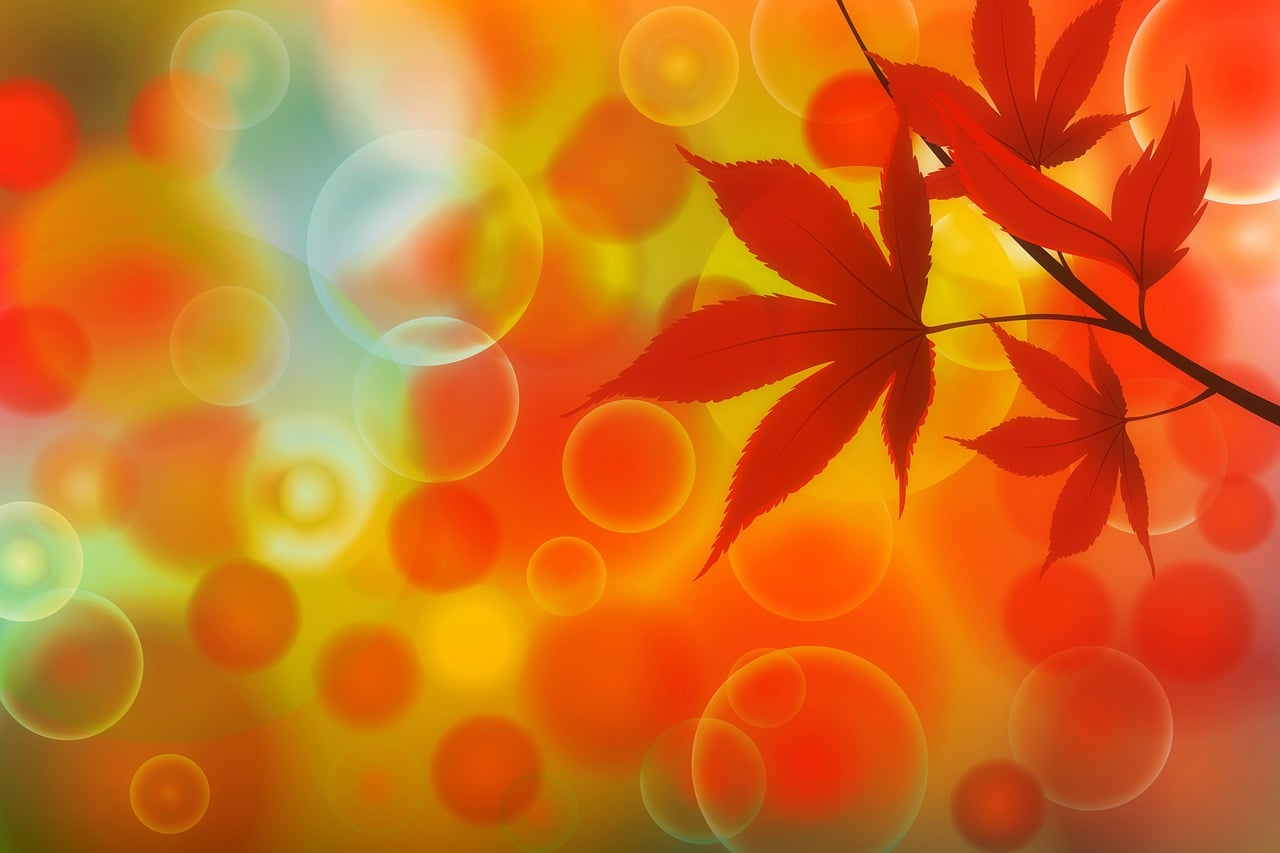 Fondo De Pantalla Con Colores De Otoño 100+] Fondos De Fotos De
