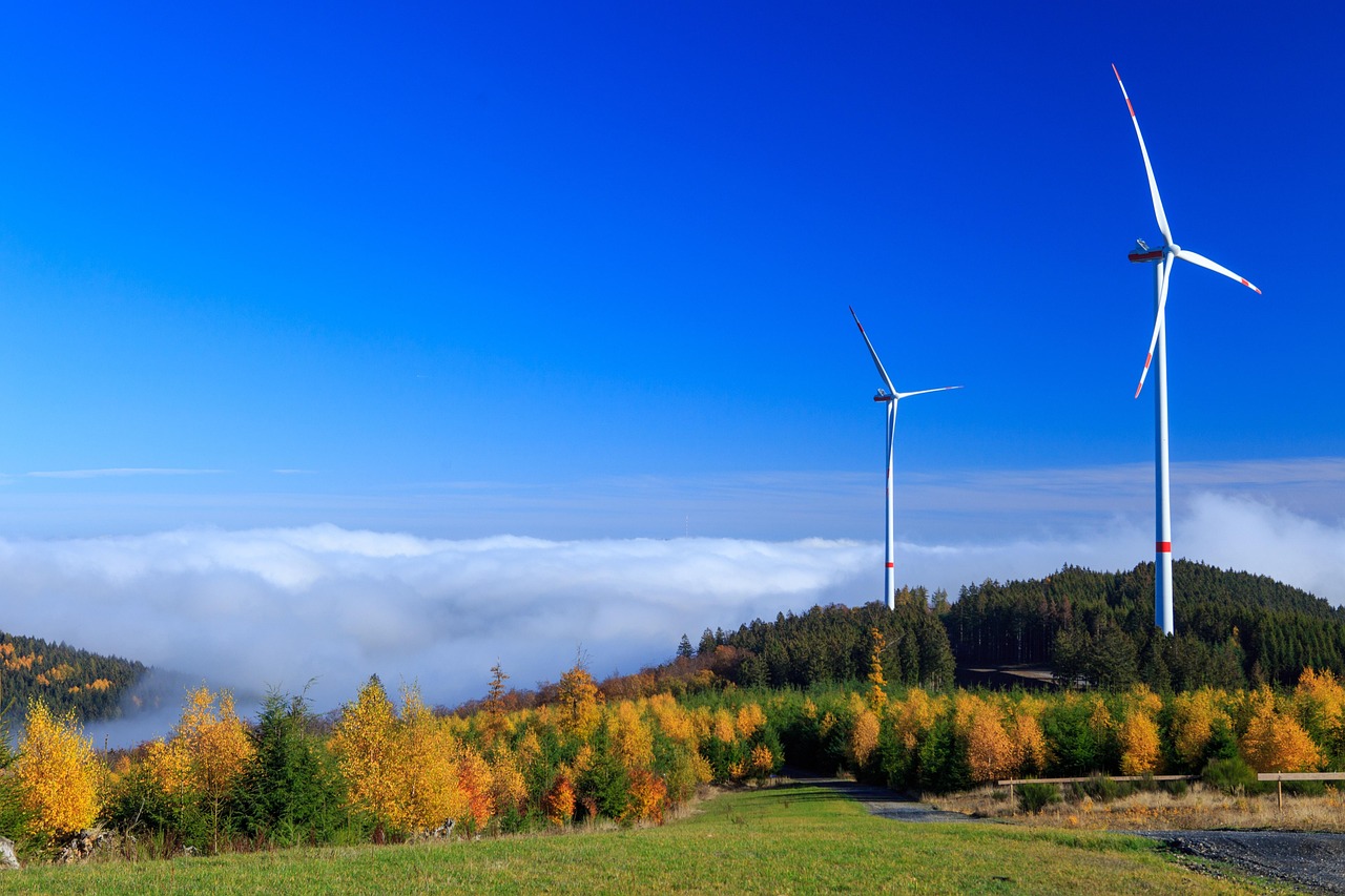 700+ Free Pinwheel & Wind Turbine Images - Pixabay