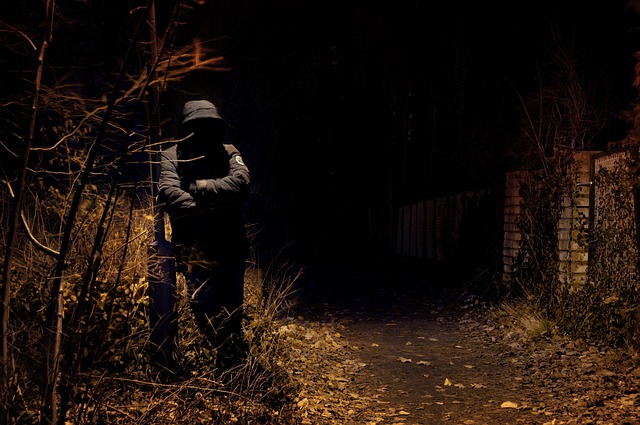 800+ Free Victim & Violence Images - Pixabay