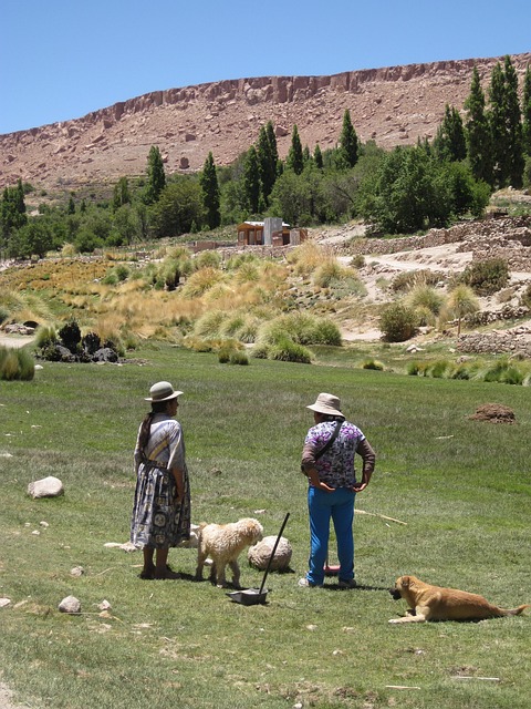 20+ Free Chile People & Chile Images - Pixabay