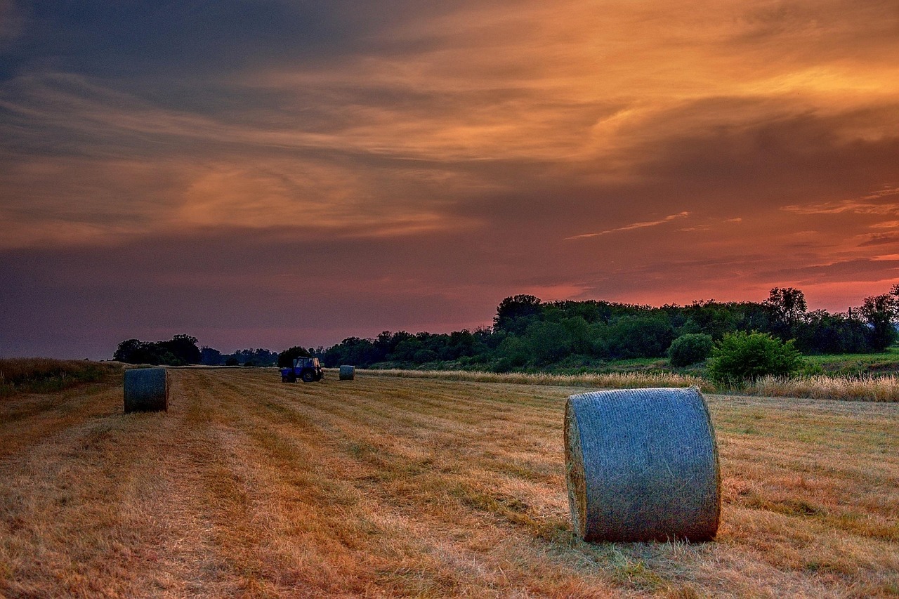 De Campagne Paille Domaine - Photo gratuite sur Pixabay - Pixabay