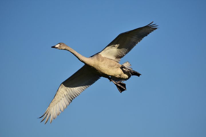 100+ Free Sky Video & Sky Photos - Pixabay