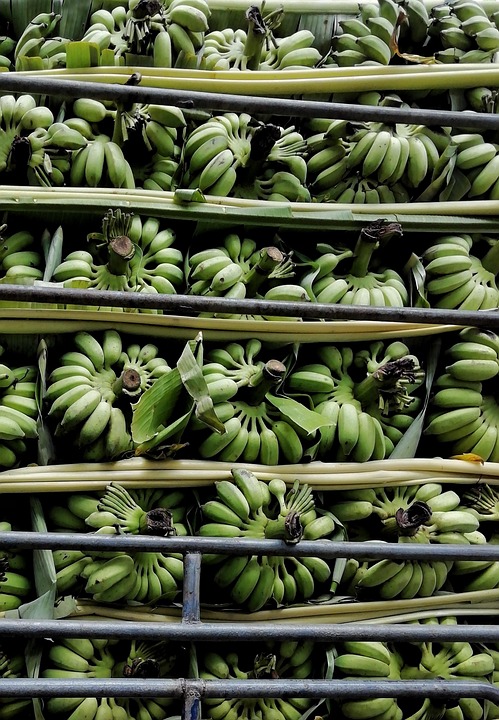 Banana Fruta Matriz - Foto gratuita no Pixabay - Pixabay