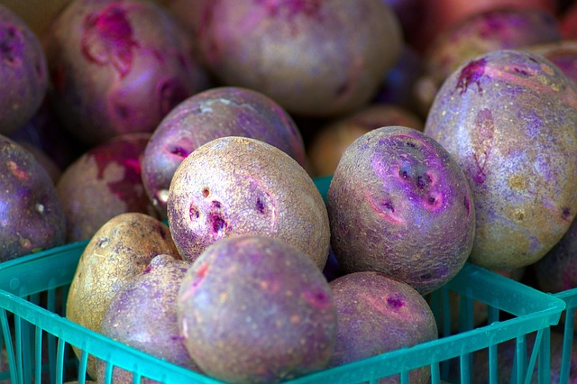 Purple Potatoes At Market - Free photo on Pixabay - Pixabay