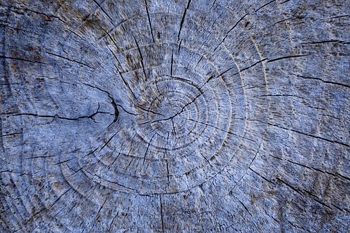 40+ Free Blue Wood Grain & Wood Images - Pixabay