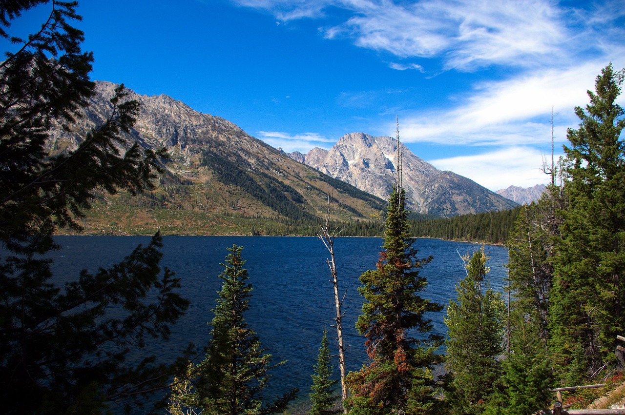 Jenny Lake Vista Mountains - Free photo on Pixabay - Pixabay