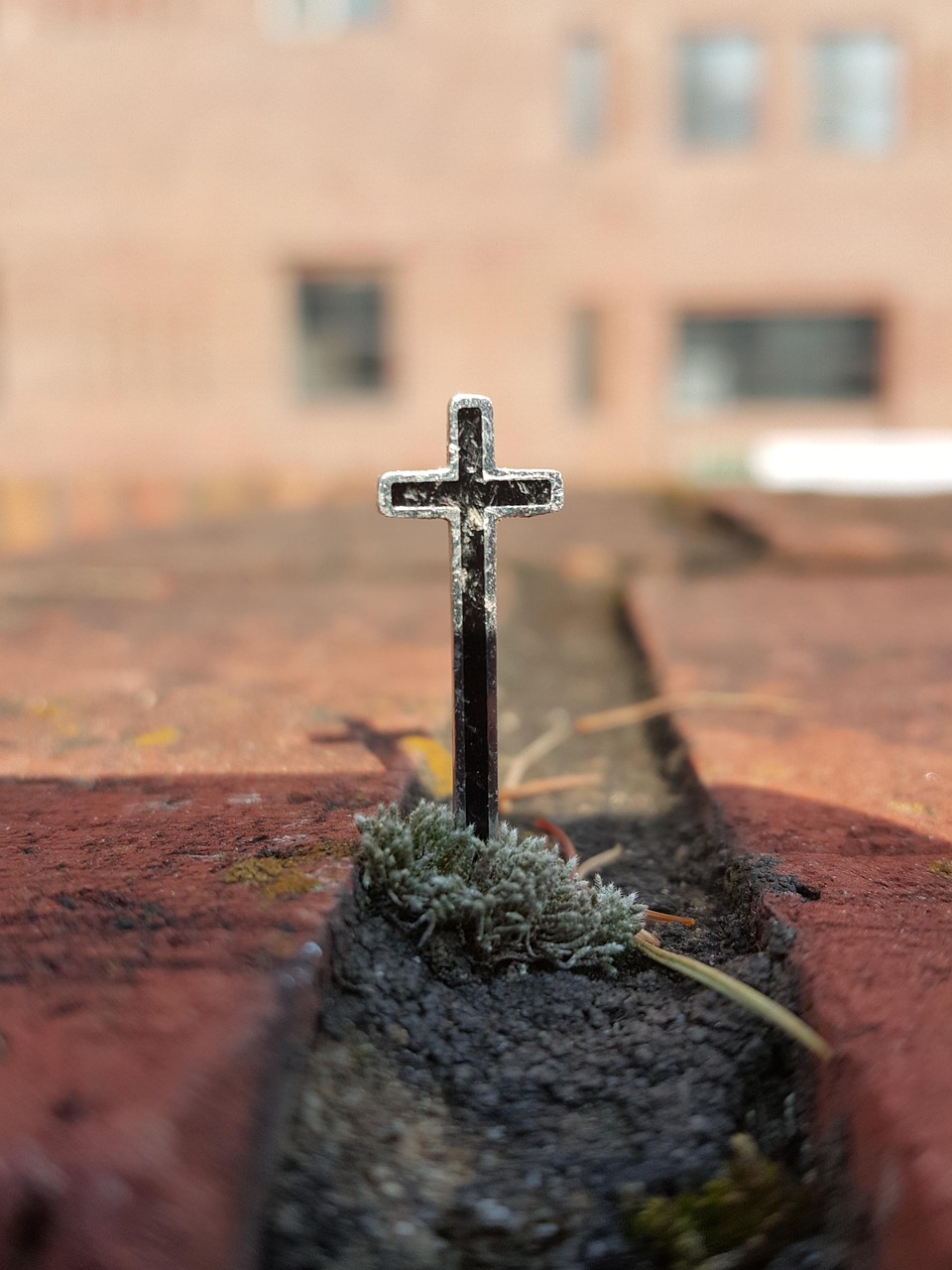 20000以上の無料Cross Die Onjesus Christ&キリスト画像 - Pixabay