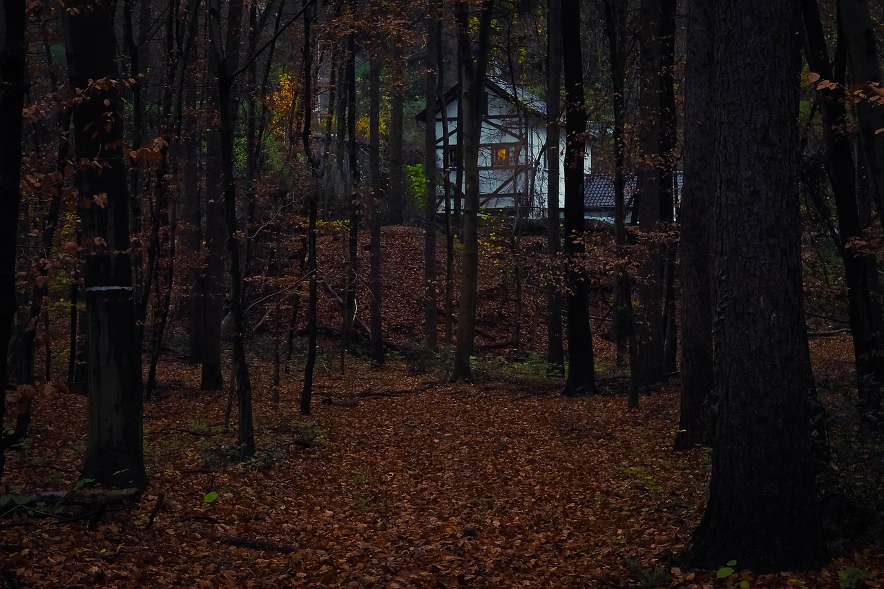 Forest House Nature - Free photo on Pixabay - Pixabay