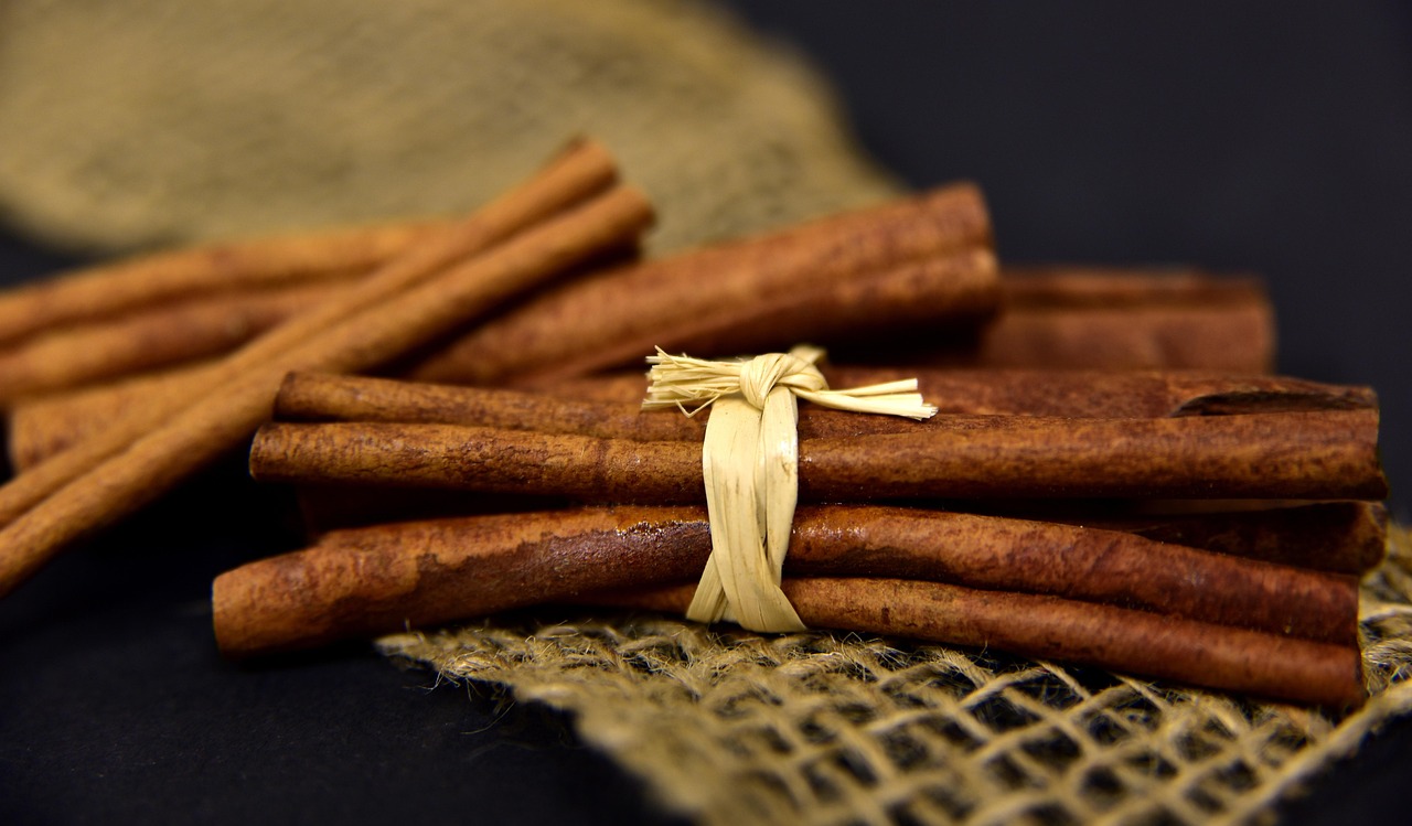 Plus de 500 images de Cannelle et de Canelle - Pixabay
