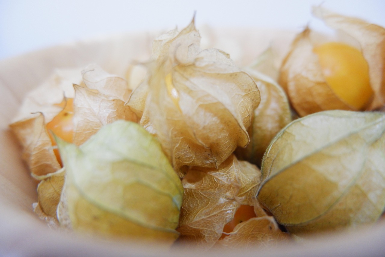 500+ Free Gooseberry & Nature Images - Pixabay