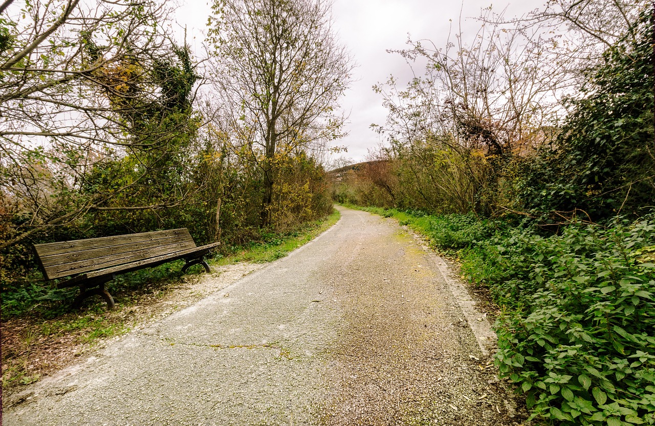 Bench Nature Rest - Free photo on Pixabay - Pixabay