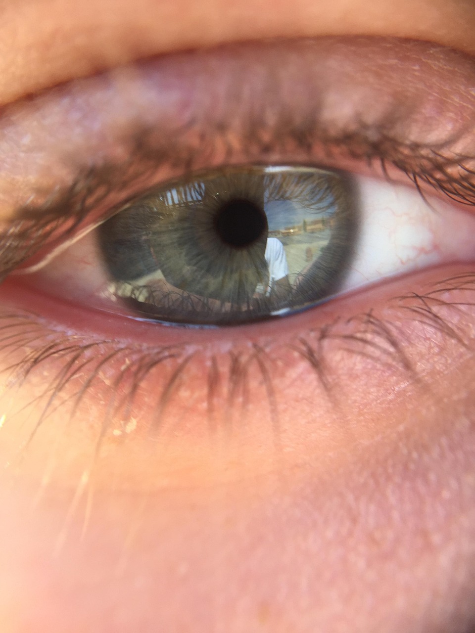 Eye Blue Green - Free photo on Pixabay