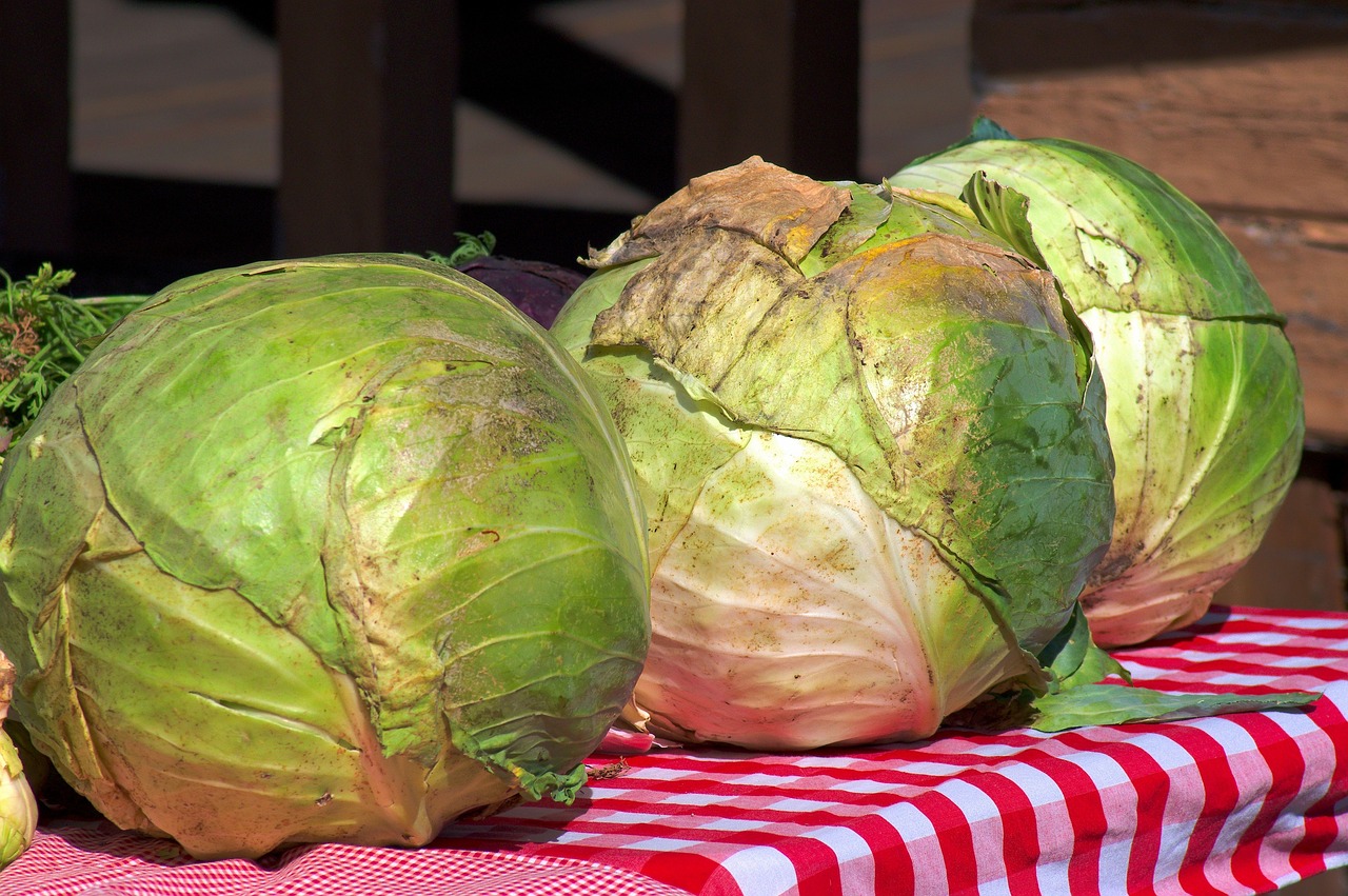 Cabbage At The Market Jackson - Free photo on Pixabay - Pixabay