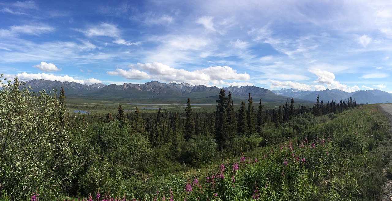 Alaska Landscape Nature - Free photo on Pixabay