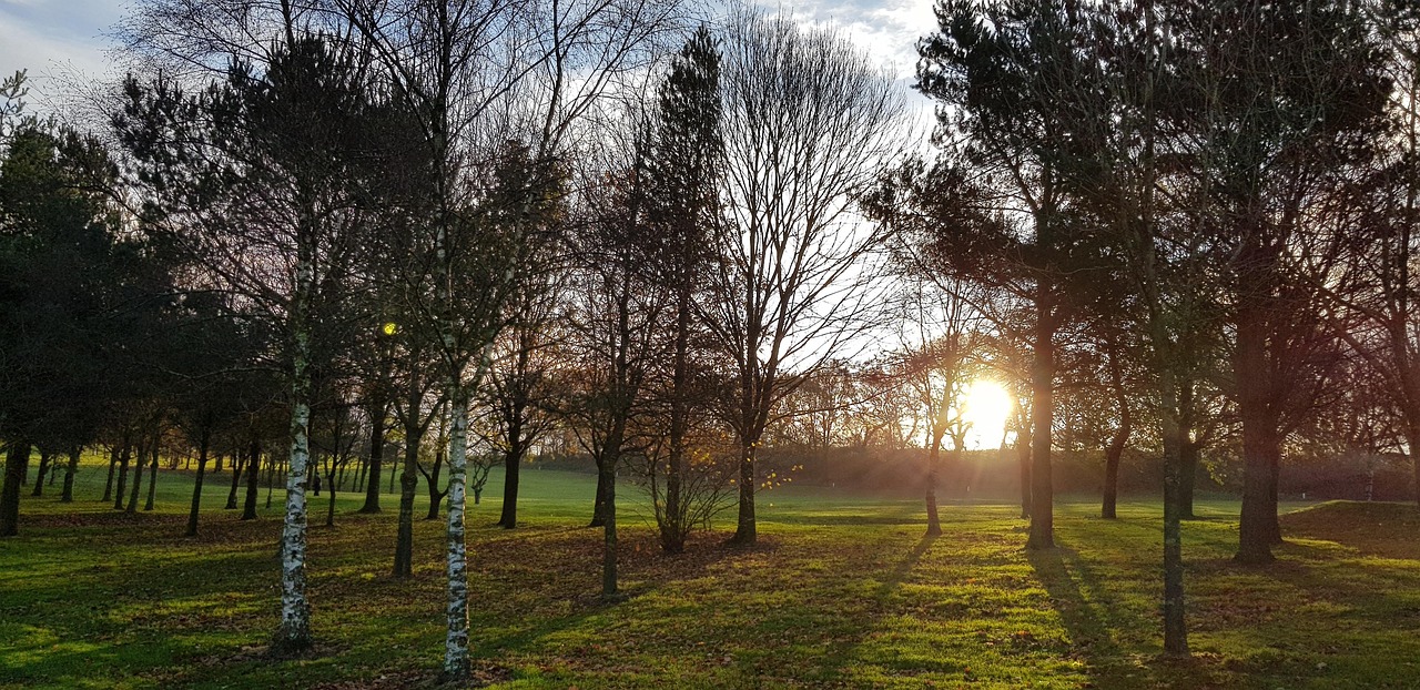 Sol De Invierno Bajo Campo - Foto gratis en Pixabay - Pixabay