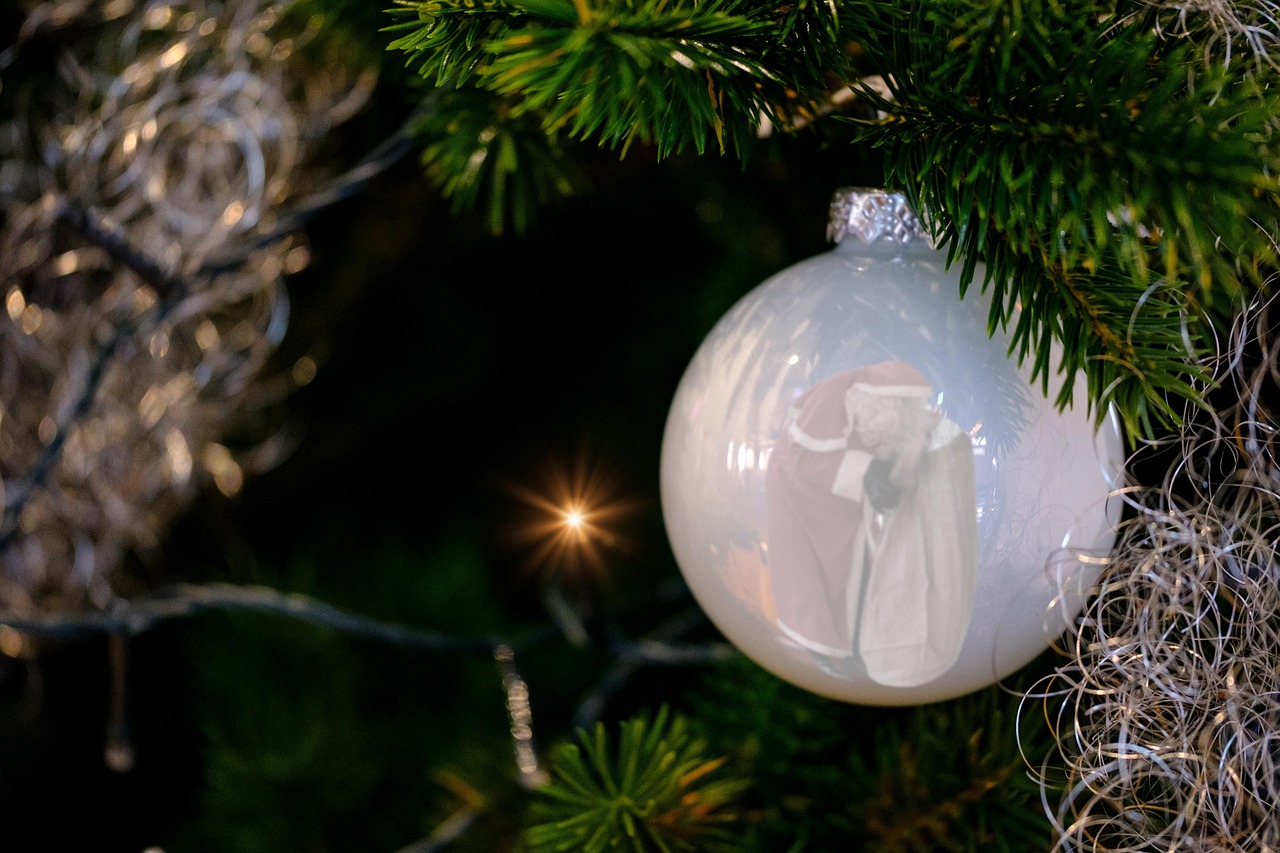 400+ kostenlose Christbaum & Weihnachtsbaum Fotos - Pixabay
