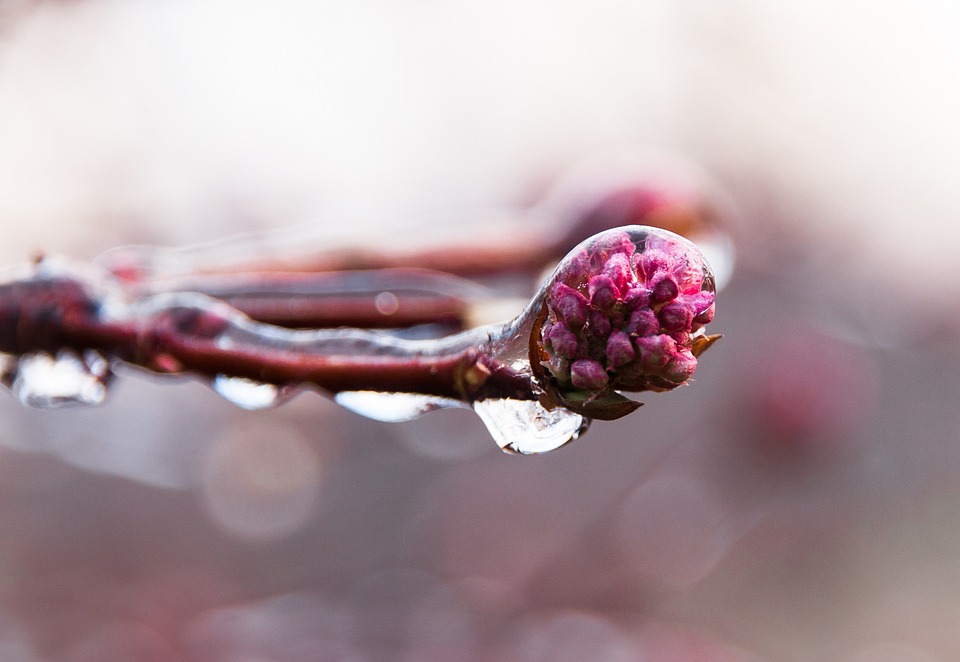 Eis Eisig Winter - Kostenloses Foto auf Pixabay - Pixabay