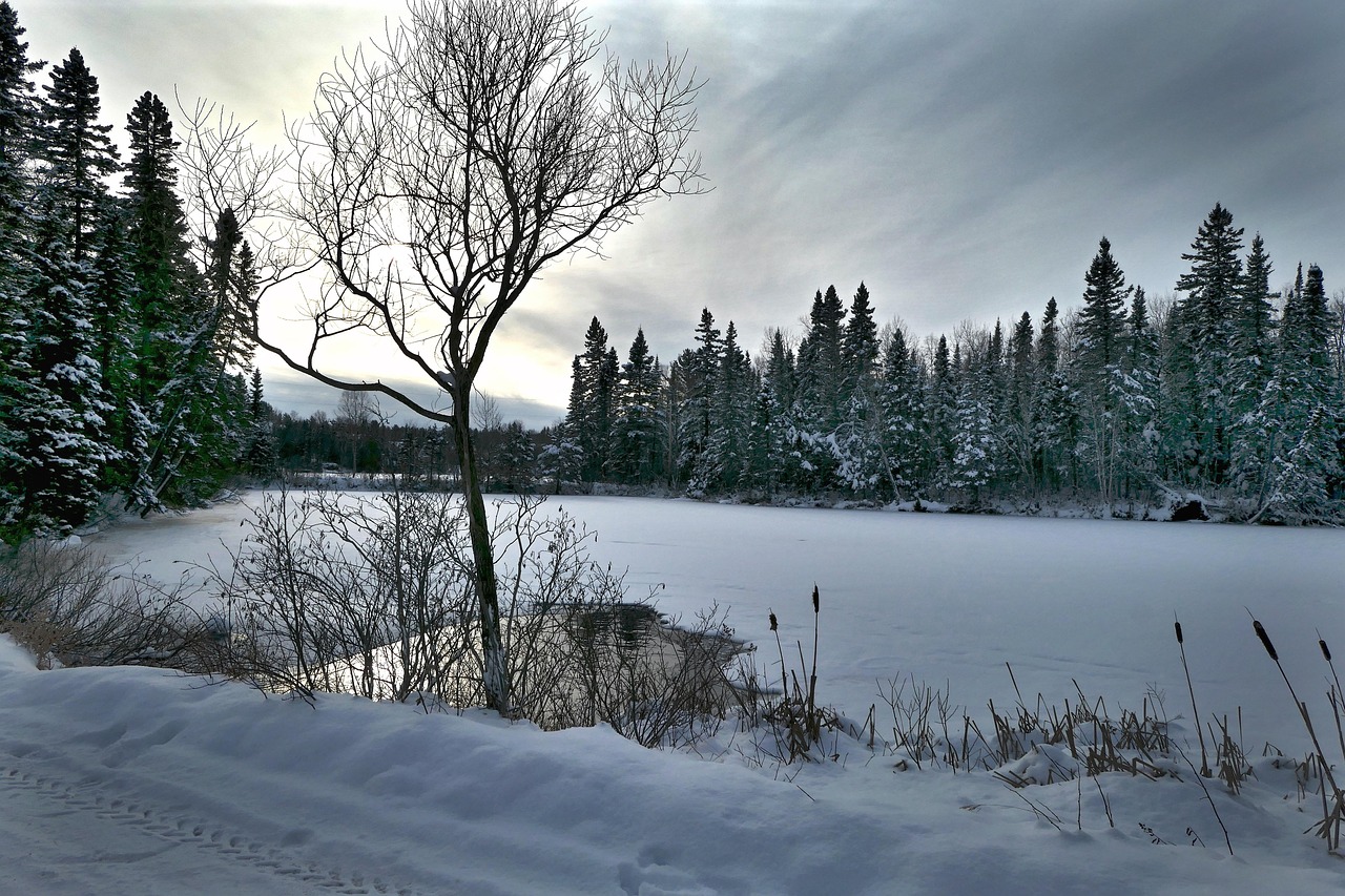 Landscape Winter Nature - Free photo on Pixabay - Pixabay