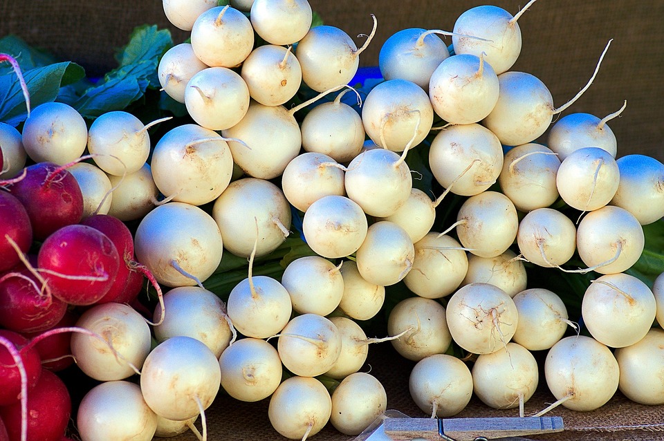 Harvest White Radishes Radish - Free photo on Pixabay