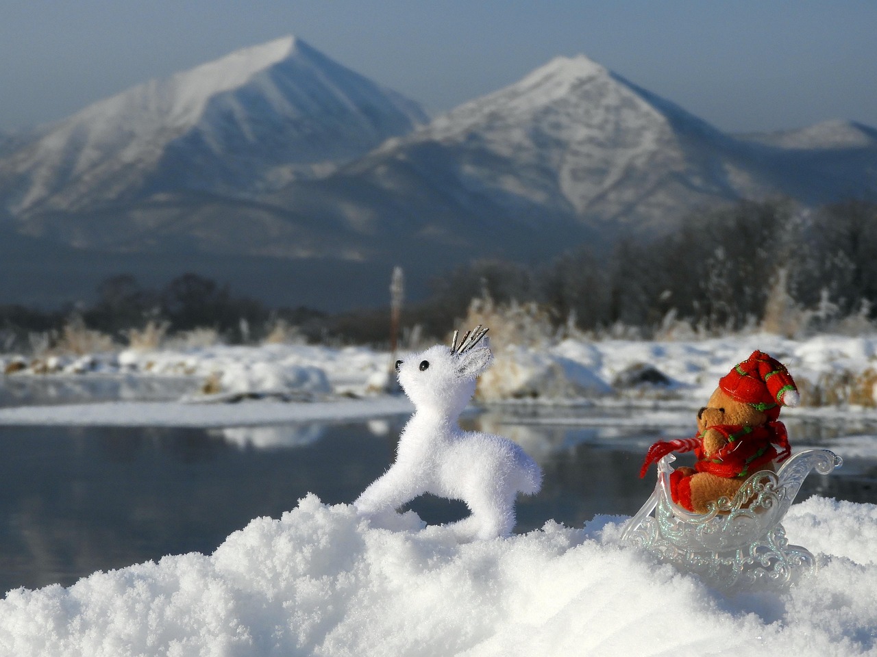 New Year Christmas Holiday - Free photo on Pixabay - Pixabay