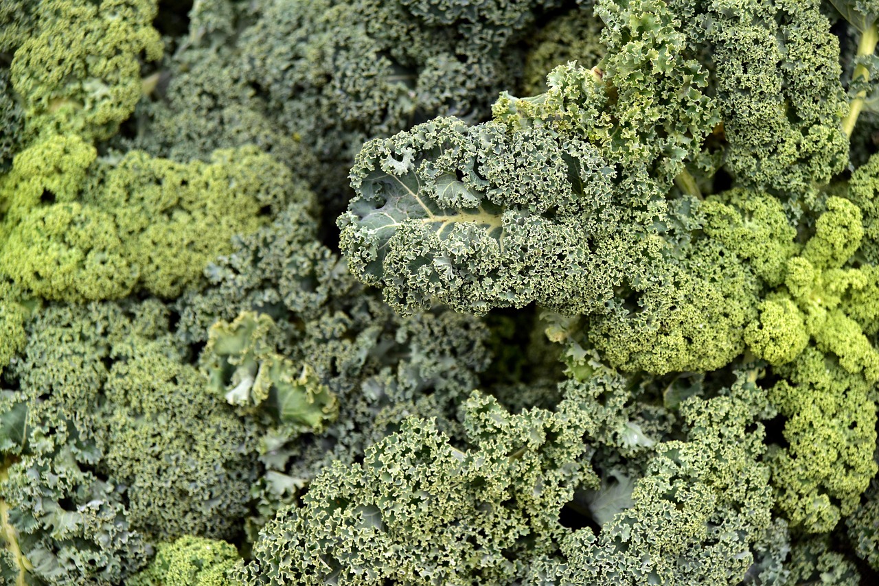 Kale Vegetables Green - Free photo on Pixabay
