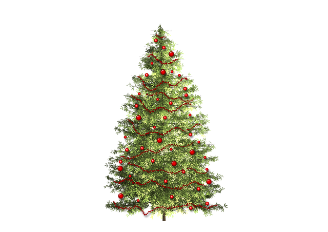 Weihnachtsbaum Christbaum - Kostenloses Bild auf Pixabay