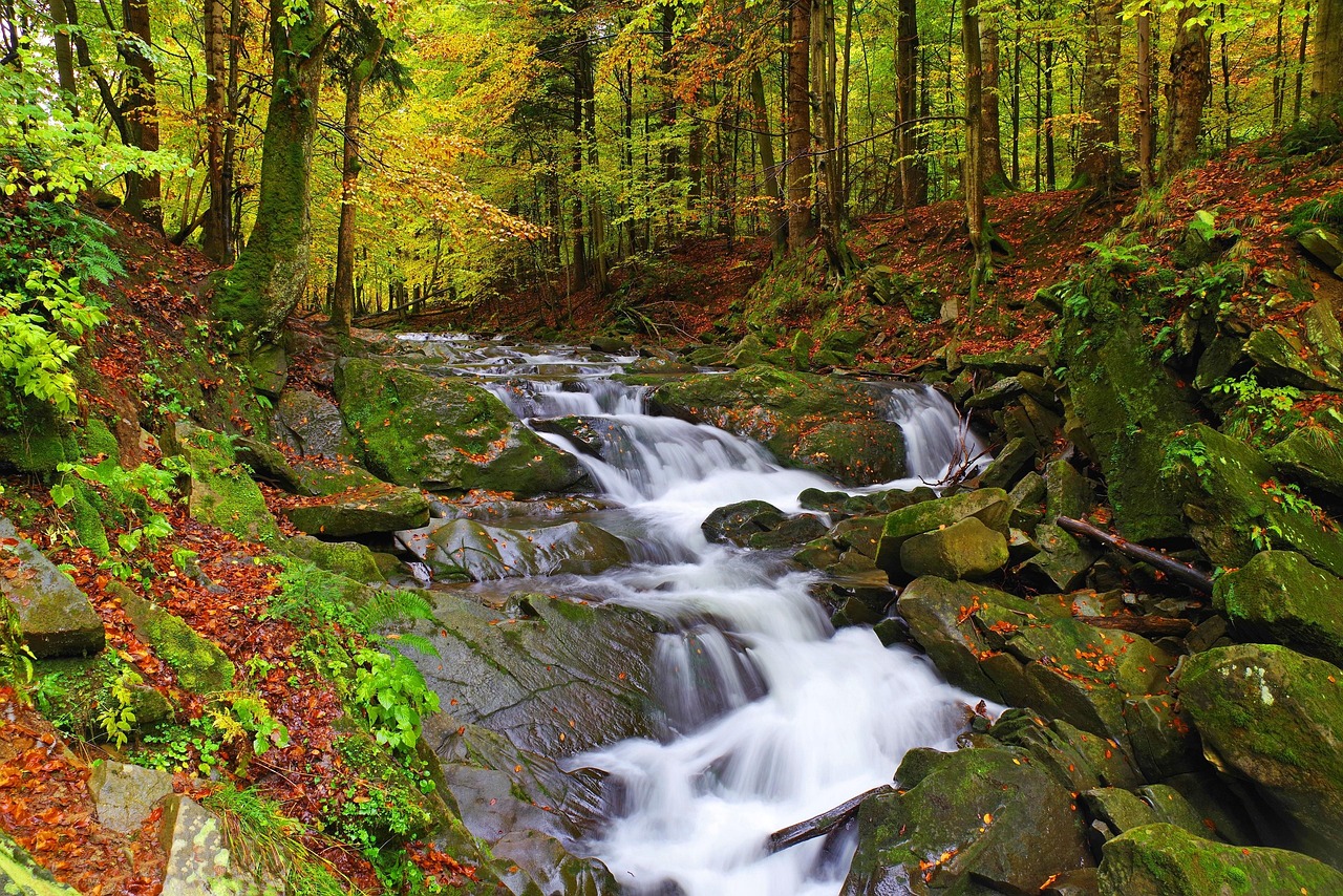 200+ darmowych obrazów z kategorii Bieszczady i Natura - Pixabay