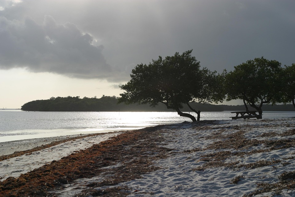 Florida Keys United States Beach - Free photo on Pixabay