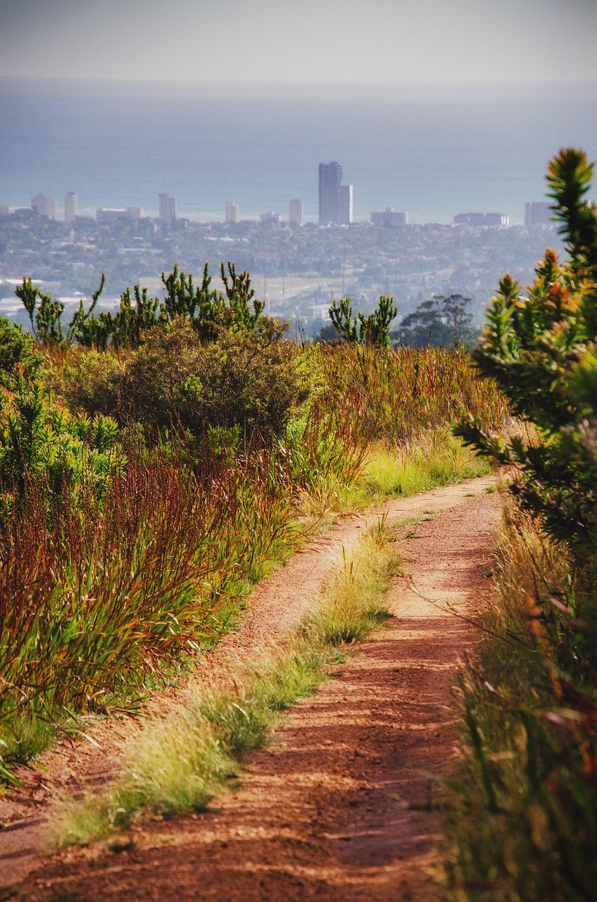 40+ Free Path Of Inspiration & Inspiration Images - Pixabay