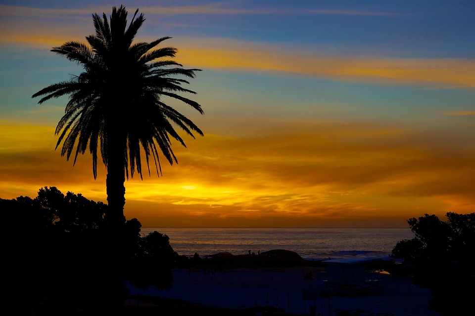 Palma Zachód Słońca - Darmowe zdjęcie na Pixabay - Pixabay