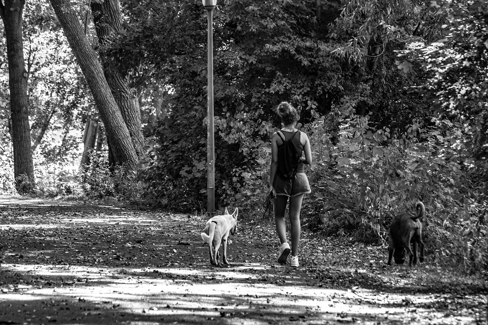 Black And White Walk People - Free photo on Pixabay - Pixabay