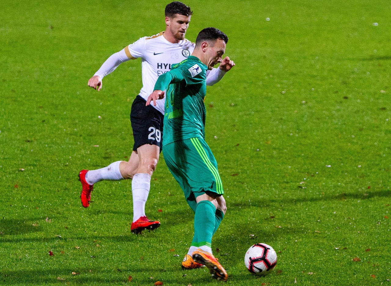 スポーツ サッカー Sv Elversberg Fc - Pixabayの無料写真 - Pixabay