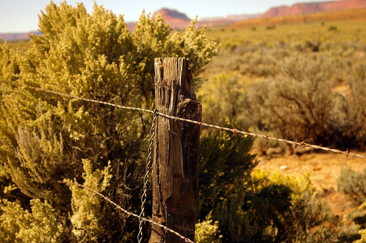 6,000+ Free Boundary Posts & Boundary Images - Pixabay